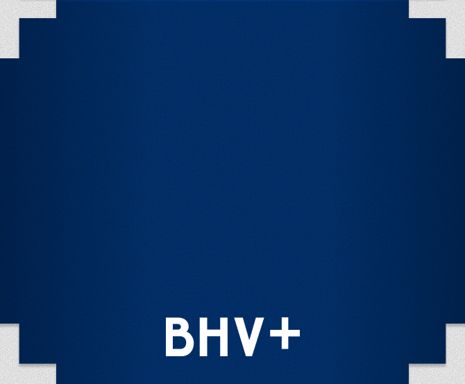 Van Cleef & Arpels - Brands - BHV